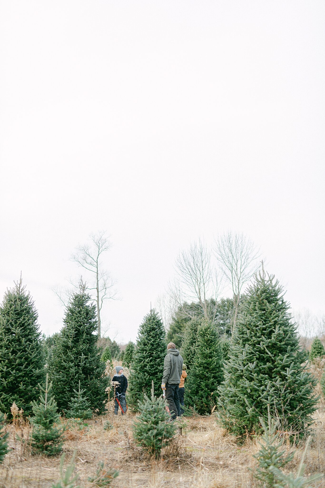 The Spinler Family's Photo Session at Whispering Pines Tree Farm